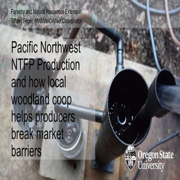 Pacific Northwest NTFP Production and how local woodland coop helps ...