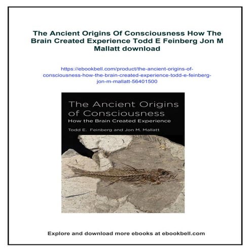 The Ancient Origins Of Consciousness How The Brain Created Experience ...