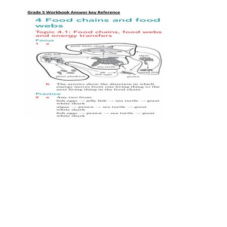 Digestive system Grade 5 igcse easy notes | PPT