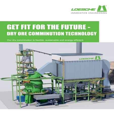 LOESCHE: OVERVIEW | PDF