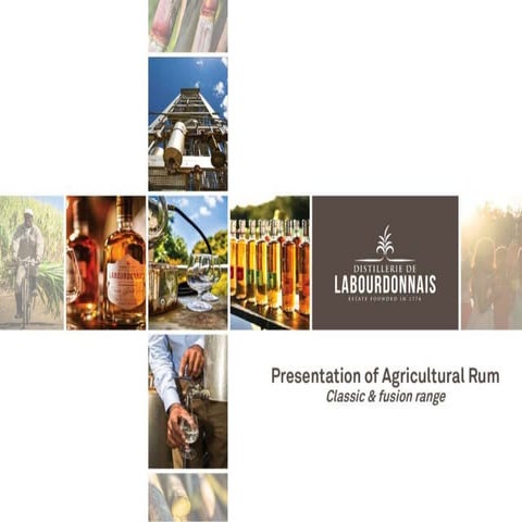 DDL Presentation rum & packages | PPT