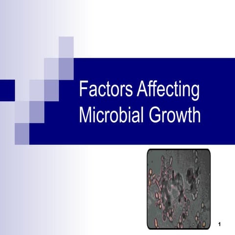 Factors affecting fermentation | PPTX