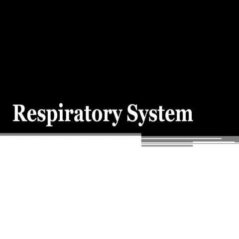 Respiratory System - Unit-2 of Anatomy & Physiology for Nursing ...