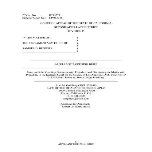 writing sample opening brief quick | DOC