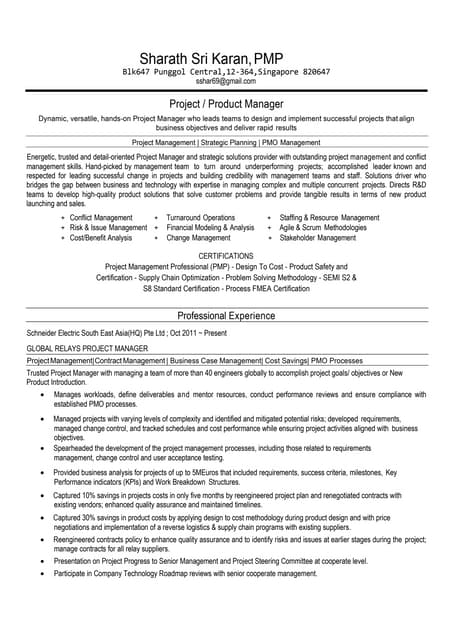 Dinesh Kumar: Experienced Medical Device Project Manager Resume | PDF