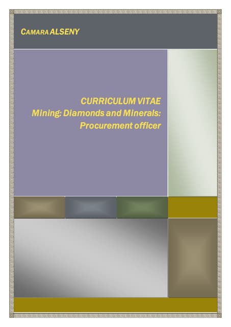 CURRICULUM VITAE OF Griffith Khoza (2) | DOCX | Logistics and ...