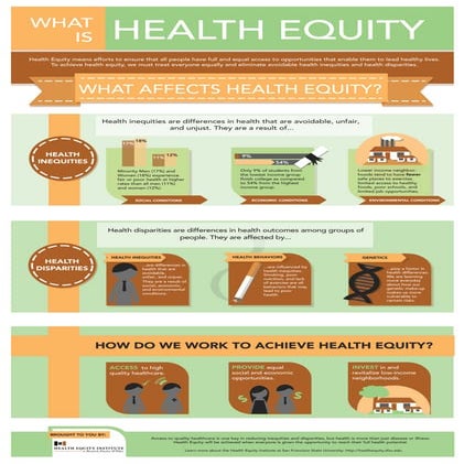 What Affects Achieving Health Equity_2 | PDF