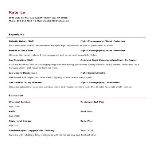 Combat Resume | DOCX | Arms & Ammunition | Sensitive Topics