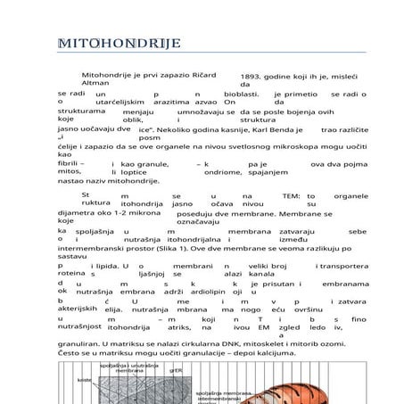 Lec no 13.pdf