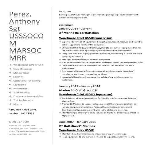 Joao Resume 2015 | PDF