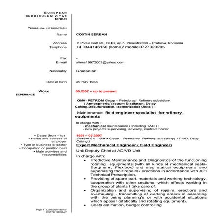 European CV actualizat. | PDF