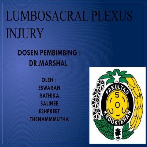 288488574-Lumbosacral-Plexus-Injury.pptx