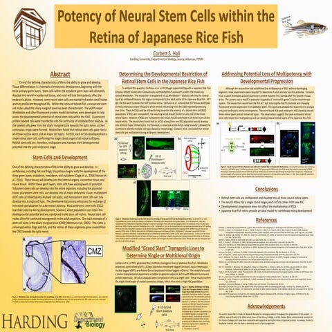 Honors Capstone Poster | PPT