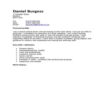 Daniel Burgess CV 1 | DOCX