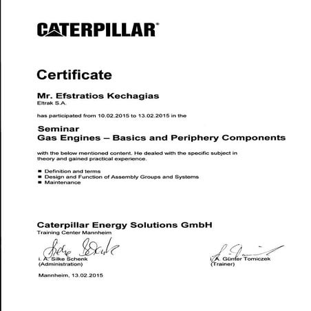 CATERPILLAR2 | PDF