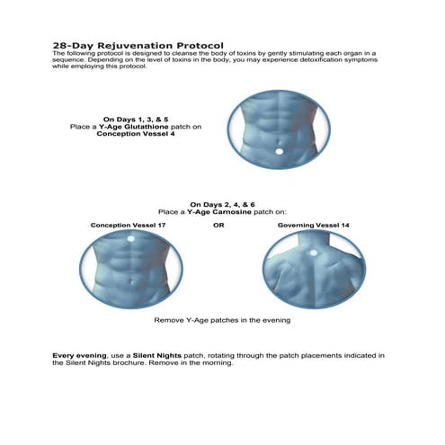 28day protocol | PDF
