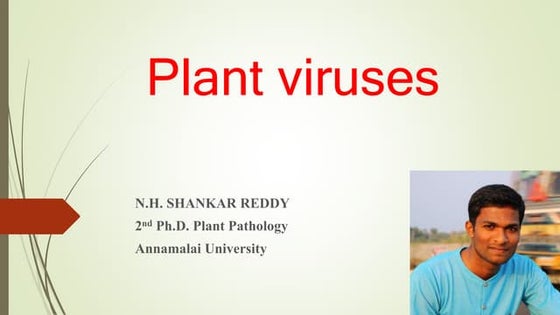 Classification of plant viruses | PDF | Biological Sciences | Science