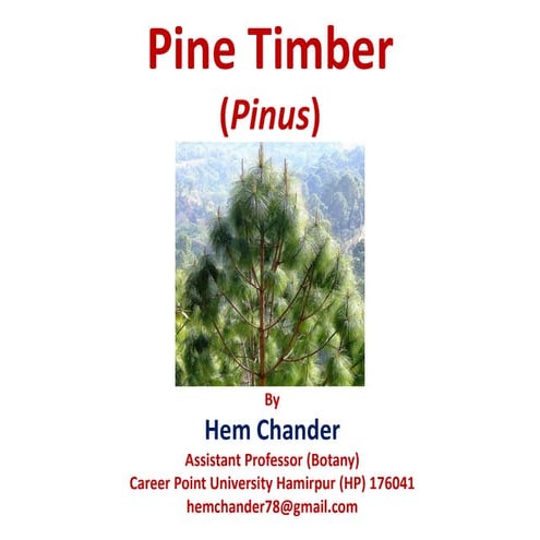 29. Pine timber.pdf