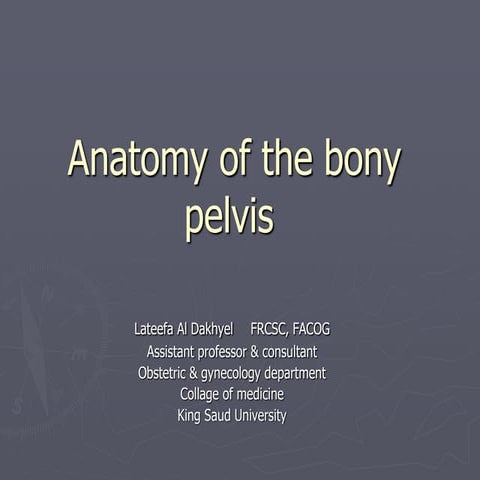Anatomy of the bony pelvis With all types | PPT