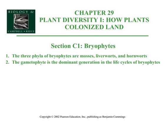 22 2 Bryophytes | PPT