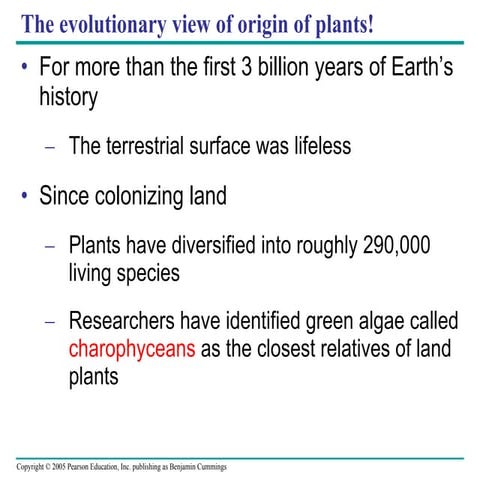29 plants ii text | PPT