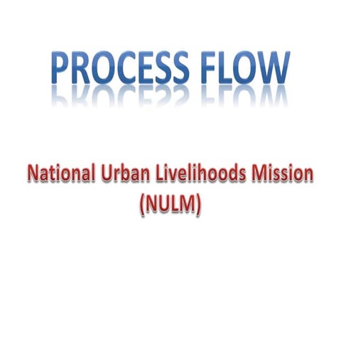 NULM Process Flow Chart PPT | PPTX