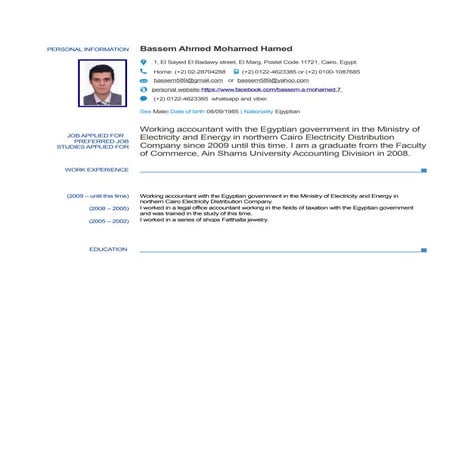 Bassem ahmed-CV_EN_2013 | DOC