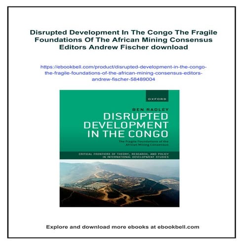 Disrupted Development In The Congo The Fragile Foundations Of The ...