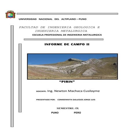 informe-pirin-corregido-para-presentar | DOC