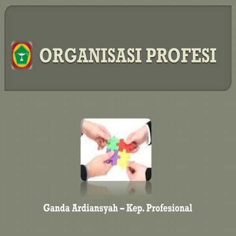 293511972 organisasi-profesi | PDF