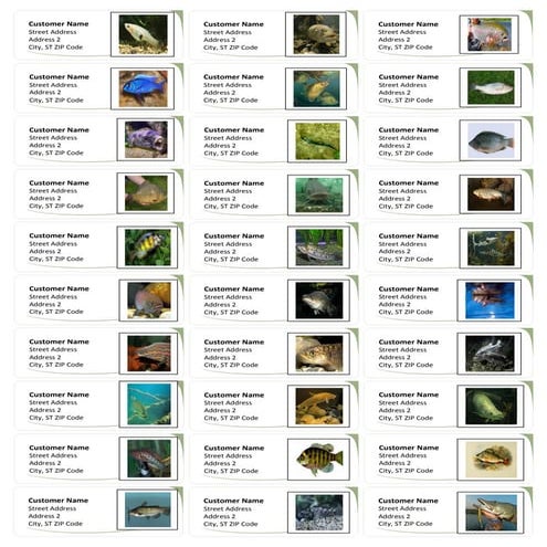Fish 1 X 2 5 8 Labels