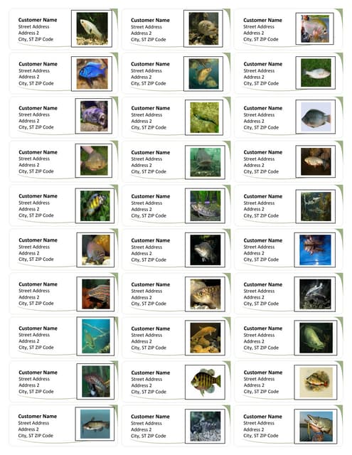 Fish 1 X 2 5 8 Labels fish-1-x-2-5-8-labels