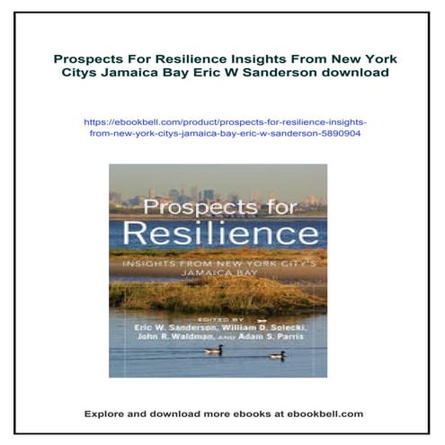 Prospects For Resilience Insights From New York Citys Jamaica Bay Eric ...