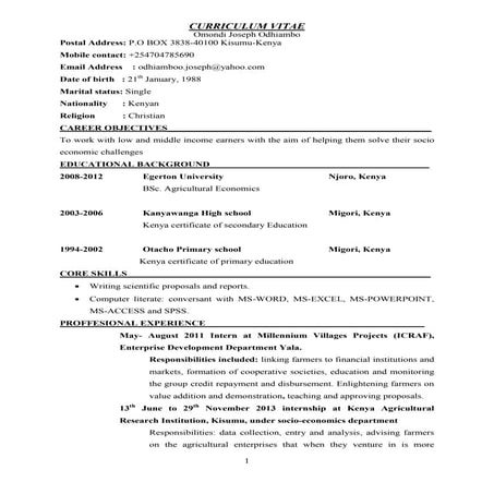 joe revised CV | PDF