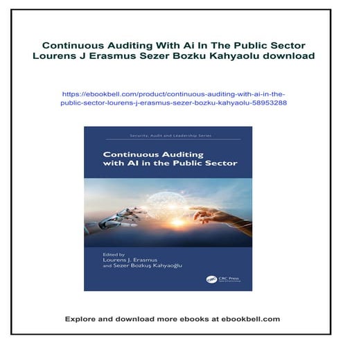 Continuous Auditing With Ai In The Public Sector Lourens J Erasmus ...