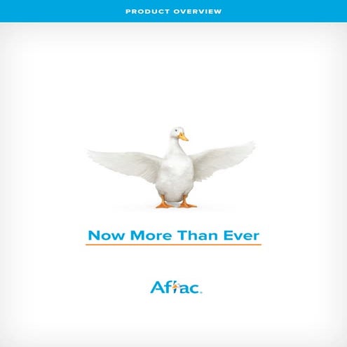 Aflac Product Overview.PDF