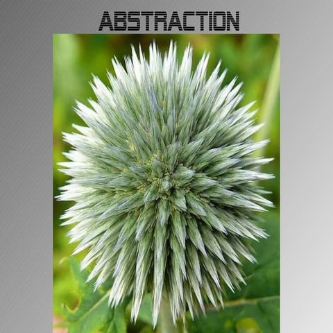 295 - Abstraction | PPS