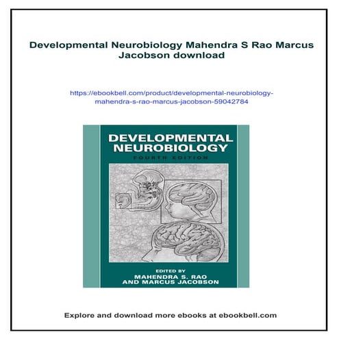 Developmental Neurobiology Mahendra S Rao Marcus Jacobson | PDF