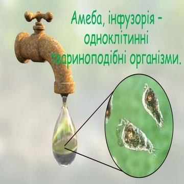 299463.pptx