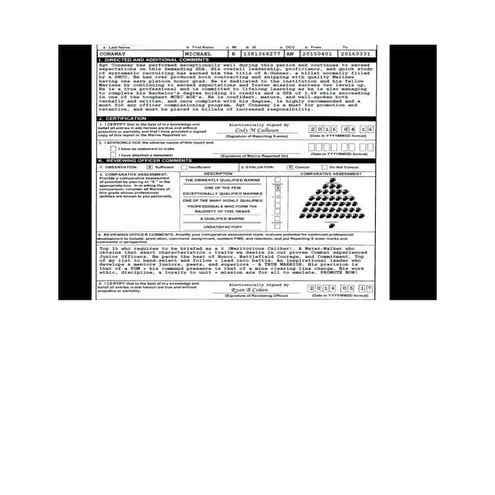 Most Recent FitRep | PDF