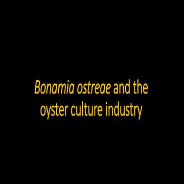 Bonamia ostreae | PPT