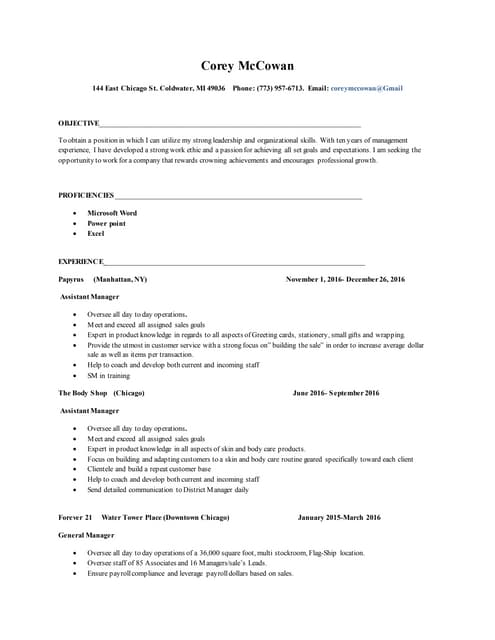 Liz Professional Resume | PDF | Human Resources | Business