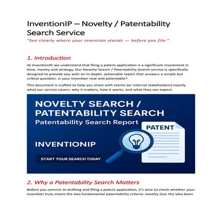 Novelty Search / Patentability Search Report | Professional Patent ...