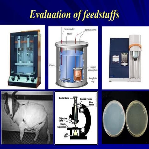 2a-evaluation.pptxcjc+"_+$+$++$$±+++(((( | PPT