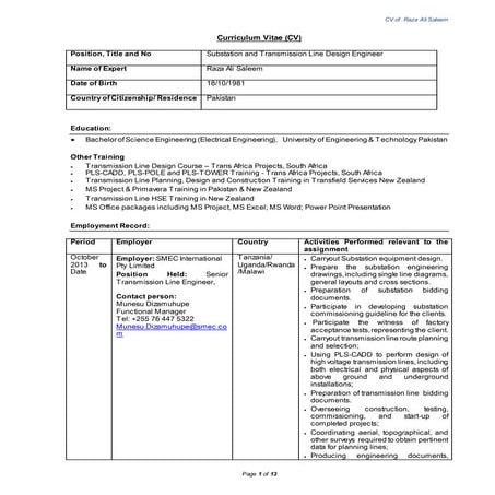 CV Raza_Ali_Saleem | DOCX
