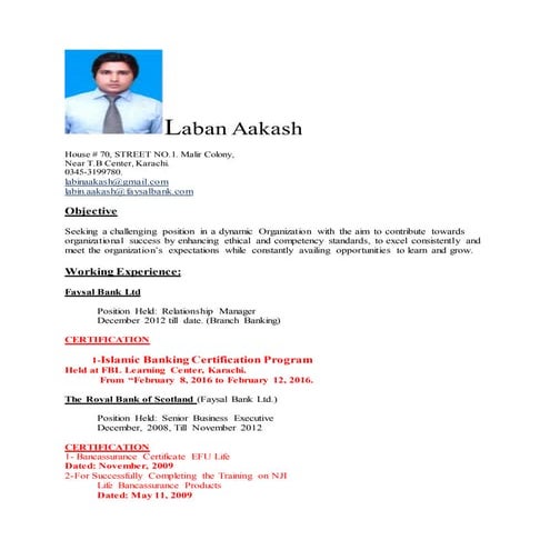 Labin Aakash cv updated | DOCX