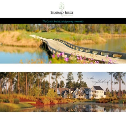 Brunswick Forest Presentation 2-24-15 | PPT