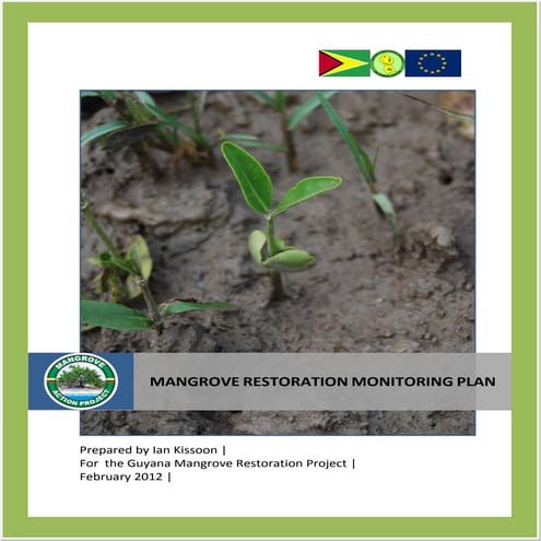 Mangrove Restoration Monitoring Plan Final | PDF