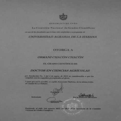 Certificate of PhD | PDF