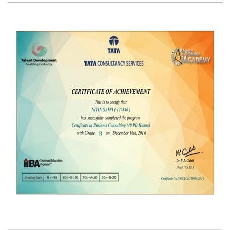 Certificate in Business Consulting | PDF